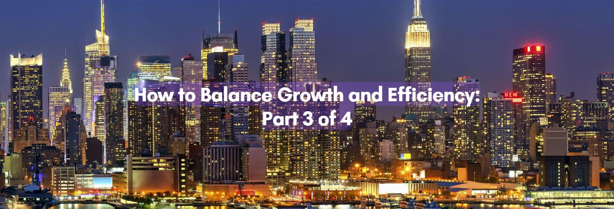 How to Balance Growth and Efficiency: A Strategic Approach